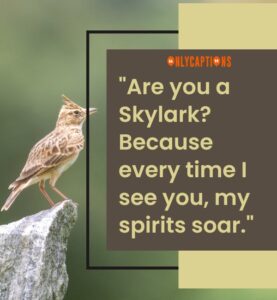 940+ Bird Pick Up Lines (2025) Feathered Flirtations