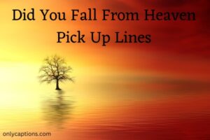 214 Falling for You: Heaven-Sent Pick Up Lines (2025)
