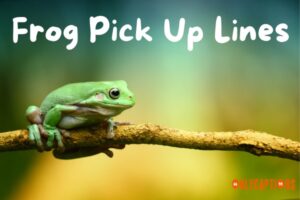 340 Frog Pick Up Lines: Hop to It! (2025)