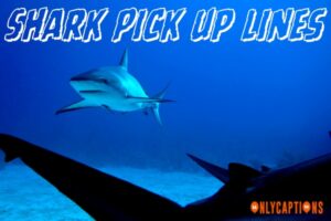 303 Shark Pick Up Lines: The Fin-tastic Way to Flirt (2024)