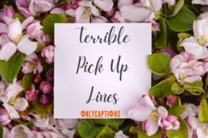 282 Terrible Pick Up Lines: A Collection of Awkwardness (2023)