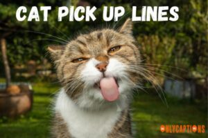 316 Cat Pick Up Lines: Purrfect for Making a Connection (2025)