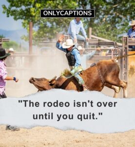 290+ Bull Riding Quotes (2025) Get Pumped for Your Next Ride