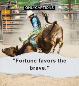 290+ Bull Riding Quotes (2025) Get Pumped for Your Next Ride