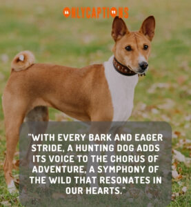 325+ Hunting Dog Quotes (2025) Howl with Delight