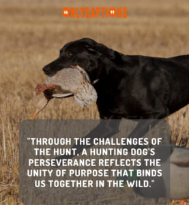 325+ Hunting Dog Quotes (2025) Howl with Delight