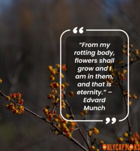 200+ Quotes About Bittersweet (2025) Capturing Life's Twists