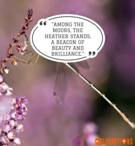 190+ Quotes About Heather (2026) Unveiling Heartfelt Words