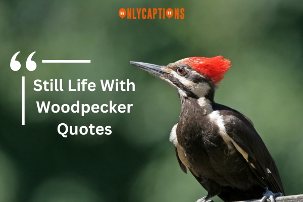 320+ Still Life With Woodpecker Quotes (2026) Tom Robbins