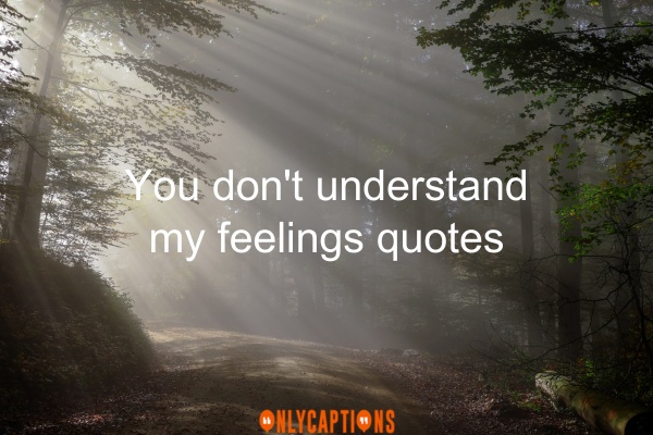 220+ You Don't Understand My Feelings Quotes (2025)
