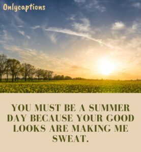 710+ Sun Pick Up Lines (2025) Light Up Your Love Life