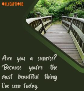 250+ Outdoors Pick Up Lines (2025) for Nature Lovers