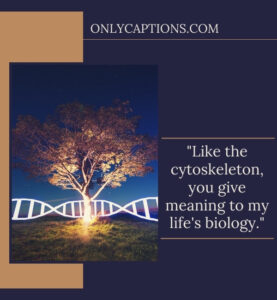 550+ Cytoskeleton Pick Up Lines (2025) Witty Flirty and Fun