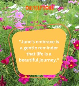 250+ Inspirational Welcome June Quotes (2025) Path to Positivity