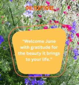 250+ Inspirational Welcome June Quotes (2025) Path to Positivity