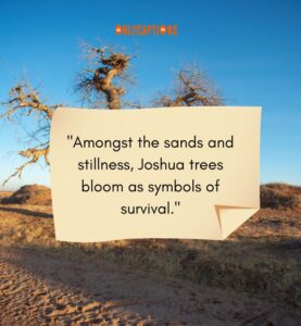 260+ Joshua Tree Quotes (2026) Best Inspirational Lines