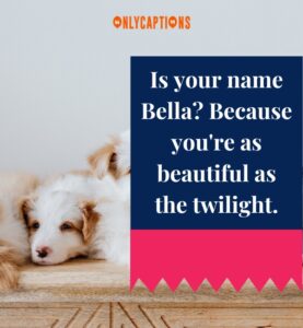 370+ Puppy Pick Up Lines (2026) Fetch Love Instantly