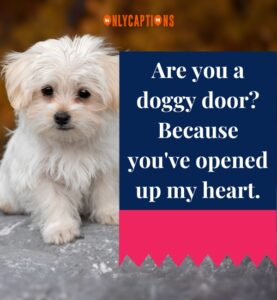 370+ Puppy Pick Up Lines (2026) Fetch Love Instantly