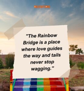 290+ Rainbow Bridge Dog Quotes (2026) Guide to Healing