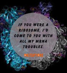 850+ Ribosome Pick Up Lines (2025) Hottest Flirt Moves