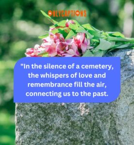 220+ Cemetery Quotes (2026) The Ultimate Farewell Phrases