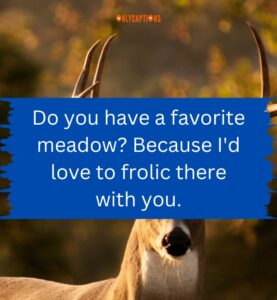 880+ Deer Pick Up Lines (2024) Cheeky Chat Starters