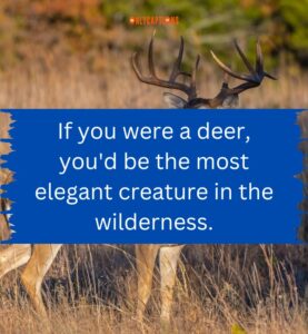 880+ Deer Pick Up Lines (2024) Cheeky Chat Starters