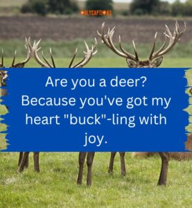880+ Deer Pick Up Lines (2024) Cheeky Chat Starters