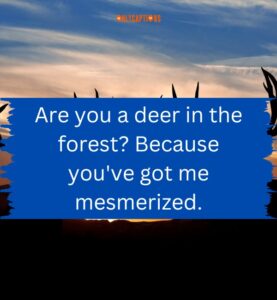 880+ Deer Pick Up Lines (2026) Cheeky Chat Starters