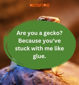 700+ Lizard Pick Up Lines (2024) Hottest Chat Starters