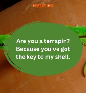 700+ Lizard Pick Up Lines (2024) Hottest Chat Starters