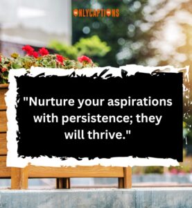 700+ Planter Quotes (2025) Best for Green Thumbs
