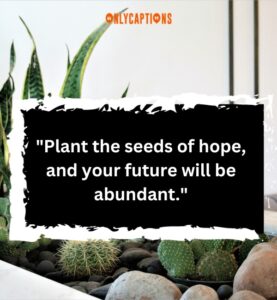 700+ Planter Quotes (2025) Best for Green Thumbs