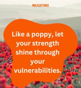 280+ Poppies Quotes (2025) Burst of Floral Motivation