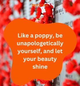 280+ Poppies Quotes (2025) Burst of Floral Motivation
