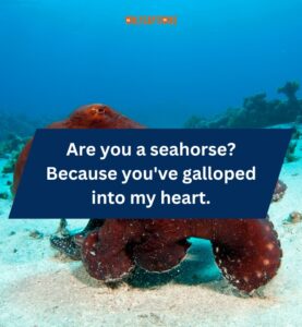 830+ Octopus Pick Up Lines (2026) Wackiest Icebreakers