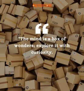 620+ Quotes About Boxes (2025) Most Unexpected Wisdom
