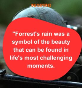 810+ Quotes About Forrest Gump Rain (2025) New & Nostalgic