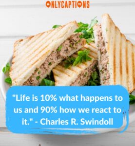 950+ Quotes Sandwich Example (2025) Best Writing Hack