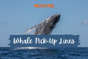 680+ Whale Pick Up Lines (2024) Discover the Whale of a Time