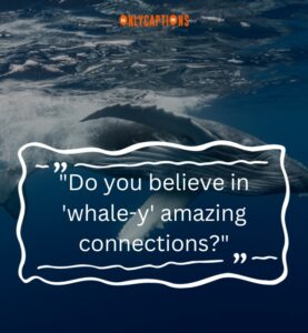 680+ Whale Pick Up Lines (2025) Discover the Whale of a Time