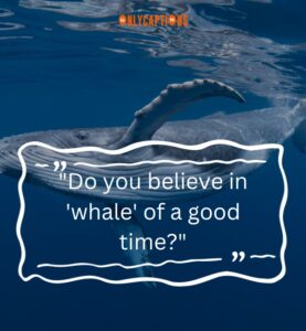680+ Whale Pick Up Lines (2025) Discover the Whale of a Time