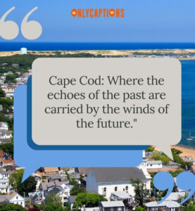 760+ Cape Cod Quotes (2026) Sail into a Sea of Words