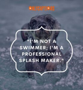 800+ Funny Swimming Quotes (2025) Make Waves with Giggles