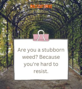 630+ Garden Pick Up Lines (2025) Plant a Romantic Seed