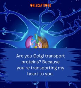 700+ Pick Up Lines About Golgi Apparatus (2025) Membrane Charm