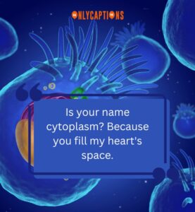 810+ Pick Up Lines About Rough Endoplasmic Reticulum (2025) Biology Buzz