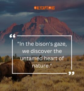 910+ Quotes About Bison (2026) Sage Insights