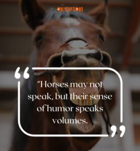 710+ Quotes About Funny Horse (2025) Hilarious Hits