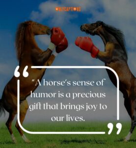 710+ Quotes About Funny Horse (2025) Hilarious Hits